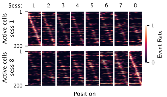 Network mechanisms underlying representational drift (RD) | Licheng Zou